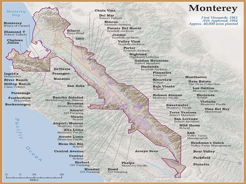 Things to do in Monterey | The Inn at 1252 Monterey